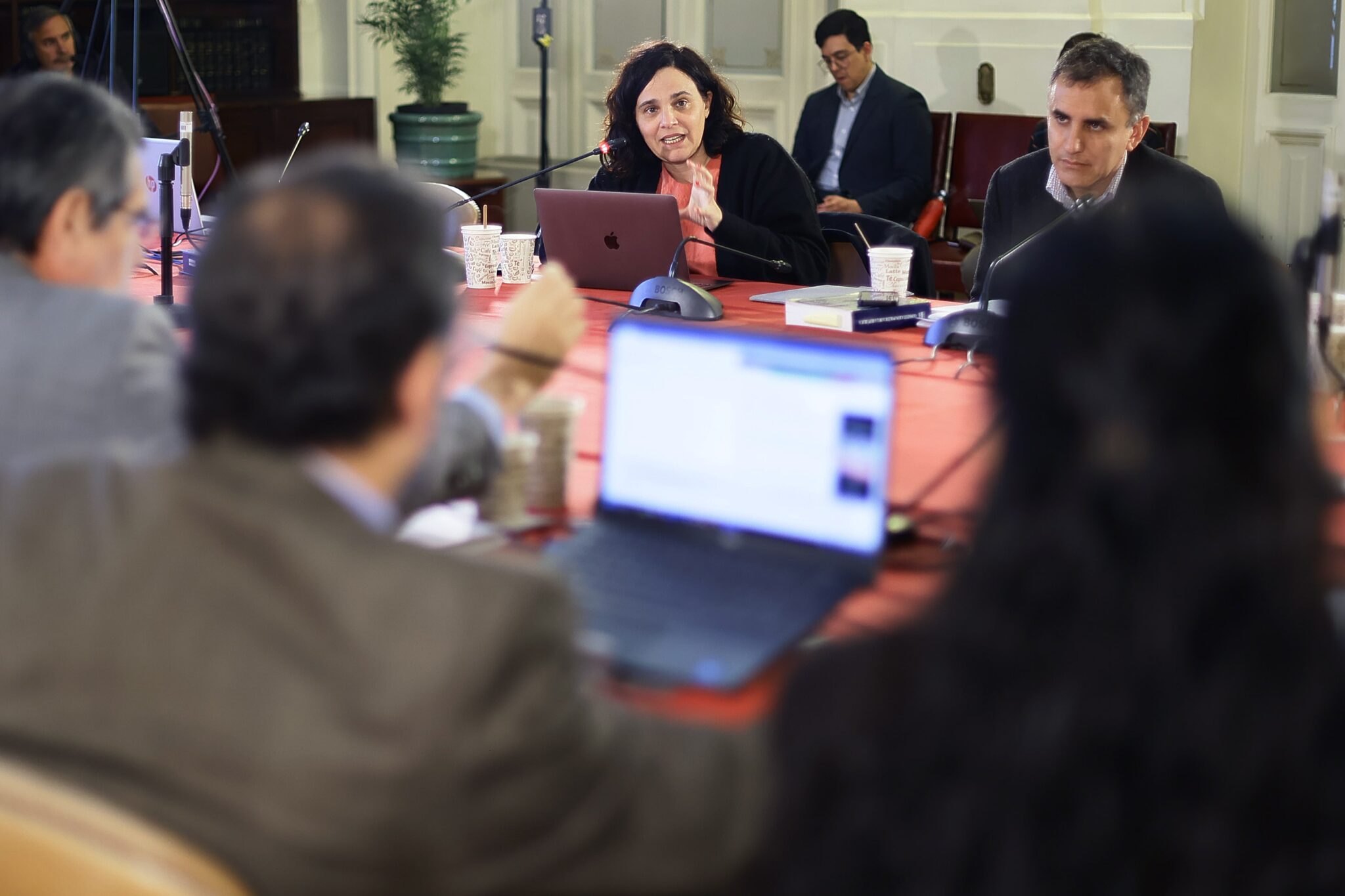 Fuerzas Armadas: subordinación al poder civil y rol frente al orden interno – Proceso Constitucional