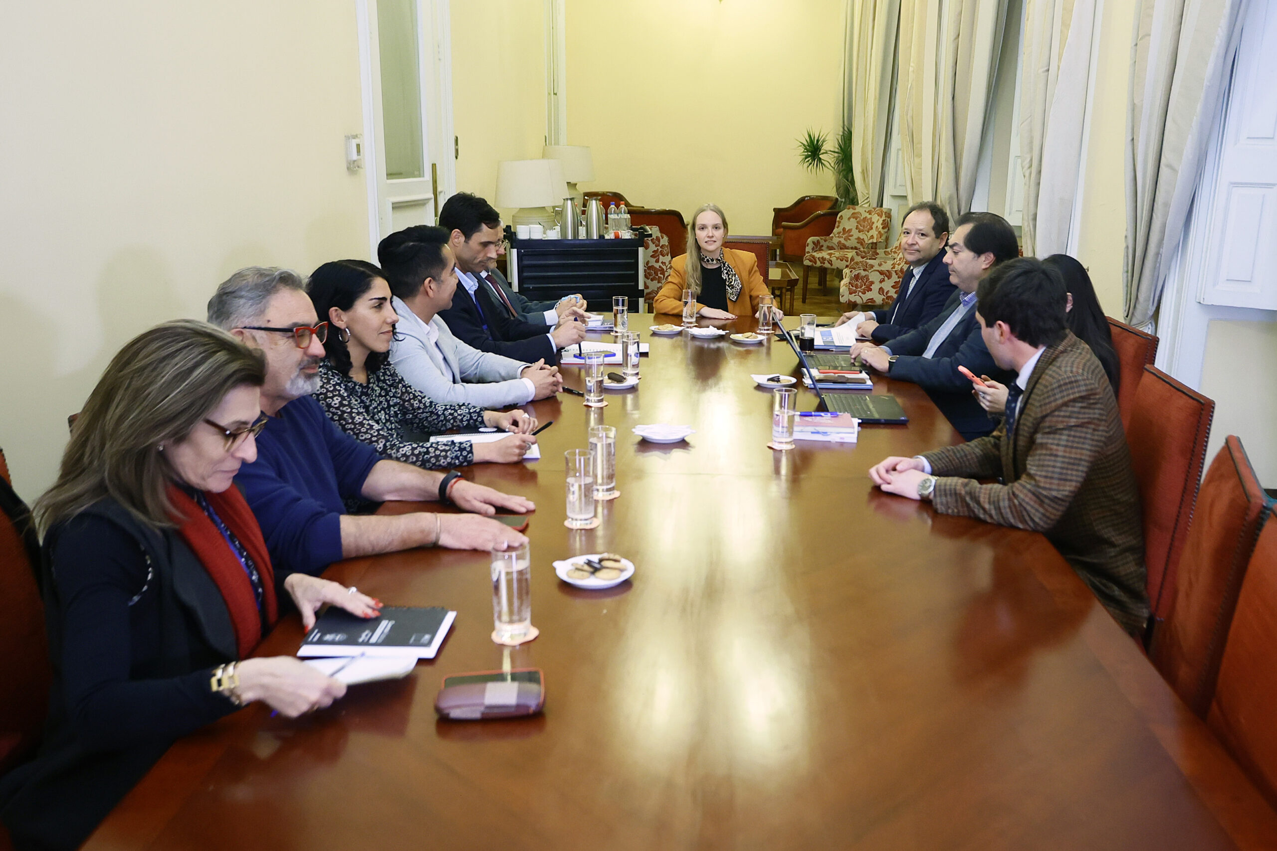 Primer Pleno Del Consejo Constitucional Votará Integración De Las